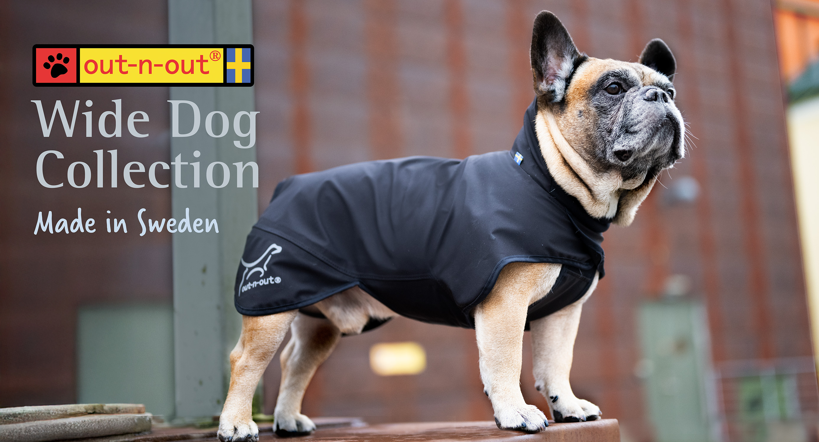 Out-n-out Sweden - Wide Dog Collection