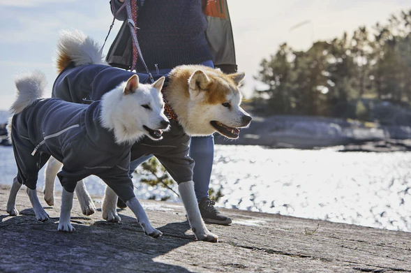 Hurtta Midlayer Overall Blackberry 55M - Eskilstuna HundCenter