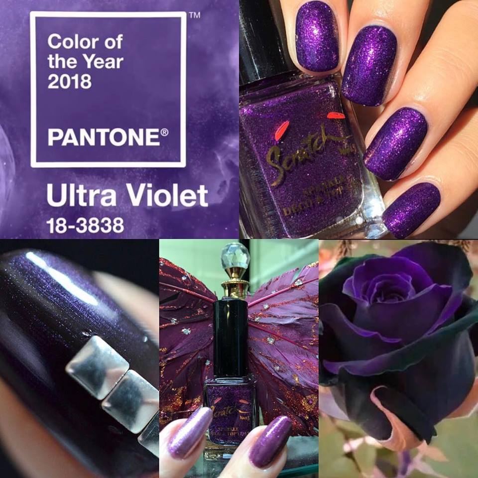 Black Purple - Scratch Shop