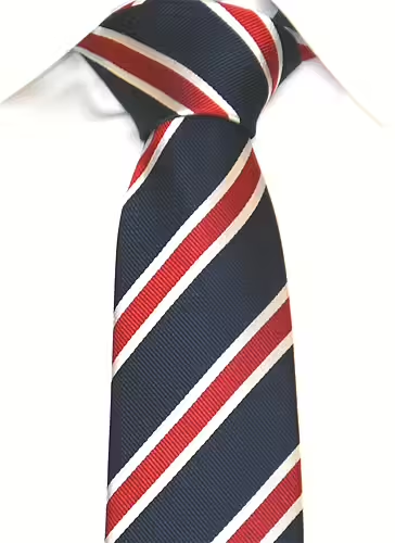 Slipskungen - Vad är en slips