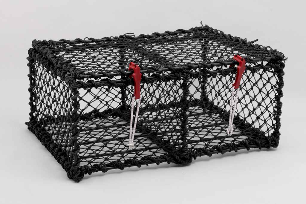 Carapax - Webbshop - Sump, Hummer/Krabba, Medium