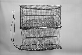 CARAPAX - Total supplier for creel fishing - Cod Traps