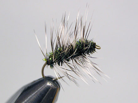 Griffits gnate - beten.nu