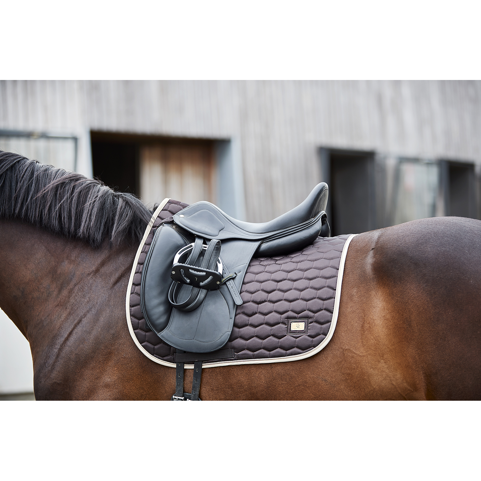 Horse Guard Kora saddle pad After Dark - PETSTER