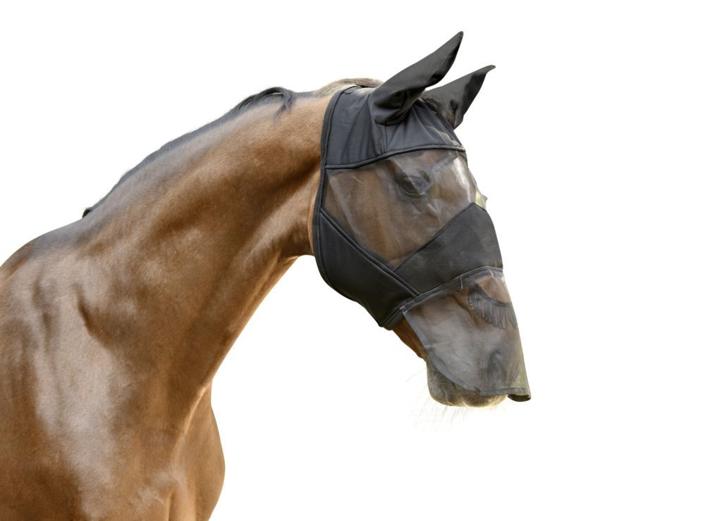 💬2 - Covalliero - Full Covering Fly Mask - PETSTER
