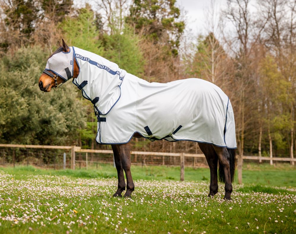 Salg-Outlet | Hest-Rytter | Hund-Katt | Tilbehør og Udstyr | PETSTER