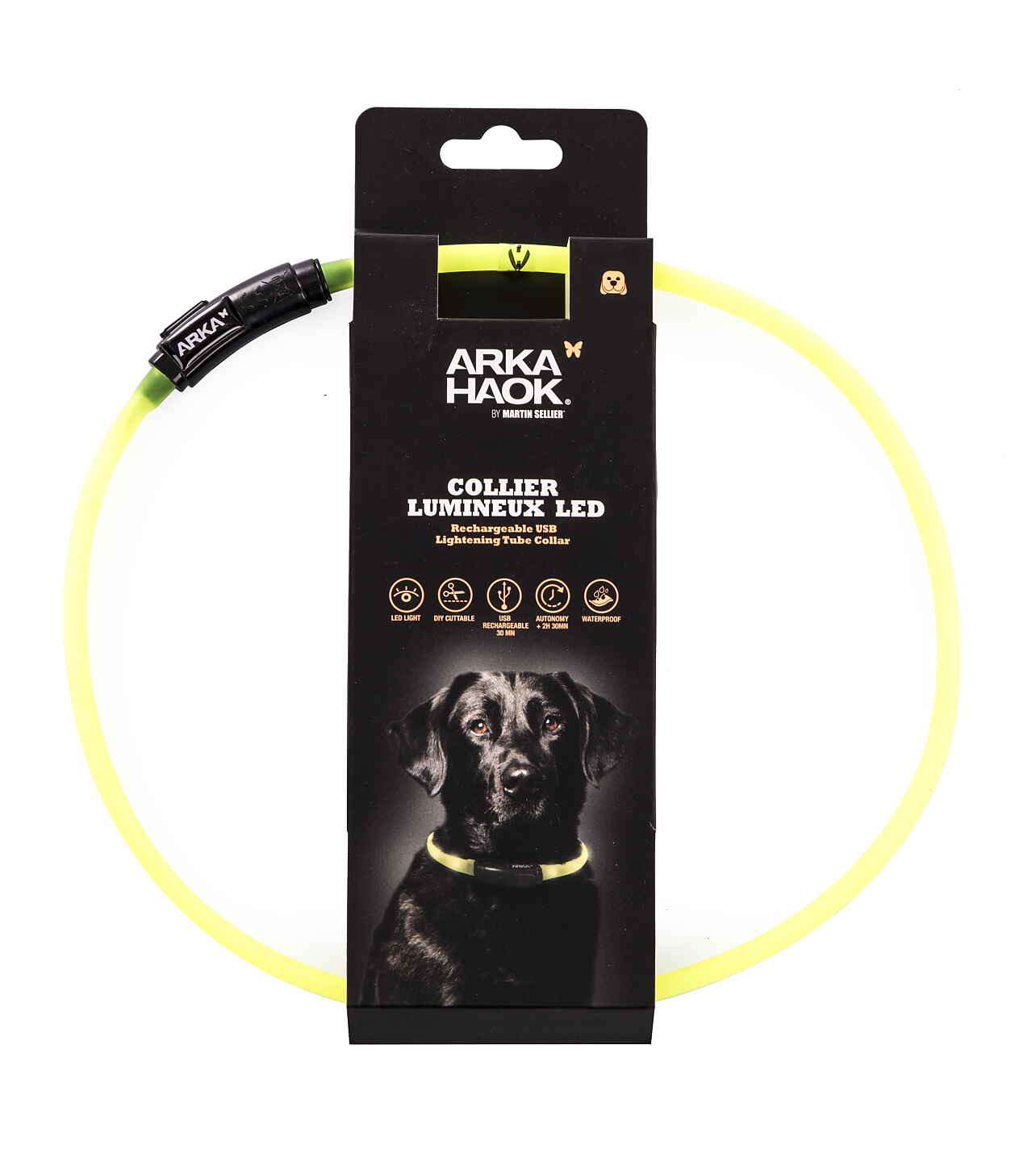Blinkande Halsband | Hundhalsband med LED | LED-Halsband | PETSTER