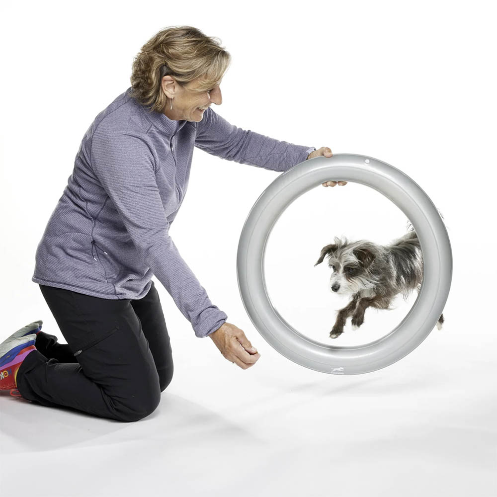 FitPAWS Donut holder | Ring to balance ball