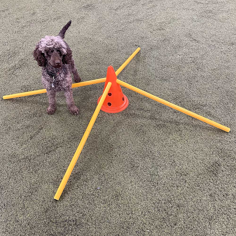 Trixie cavaletti | Cones & bars for dog training