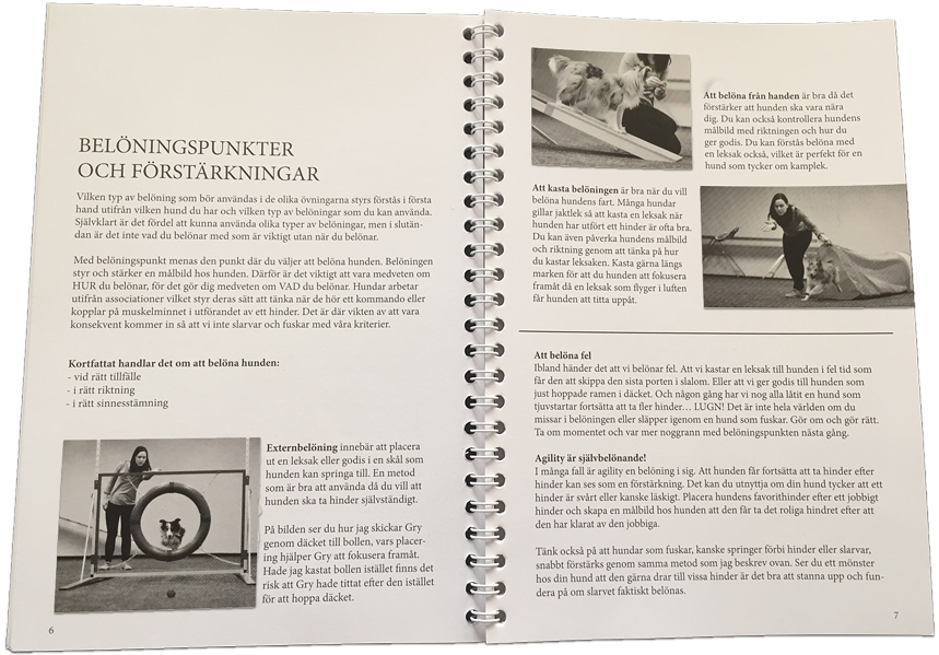 Book: agility - obstacle Learning | Hansesgården