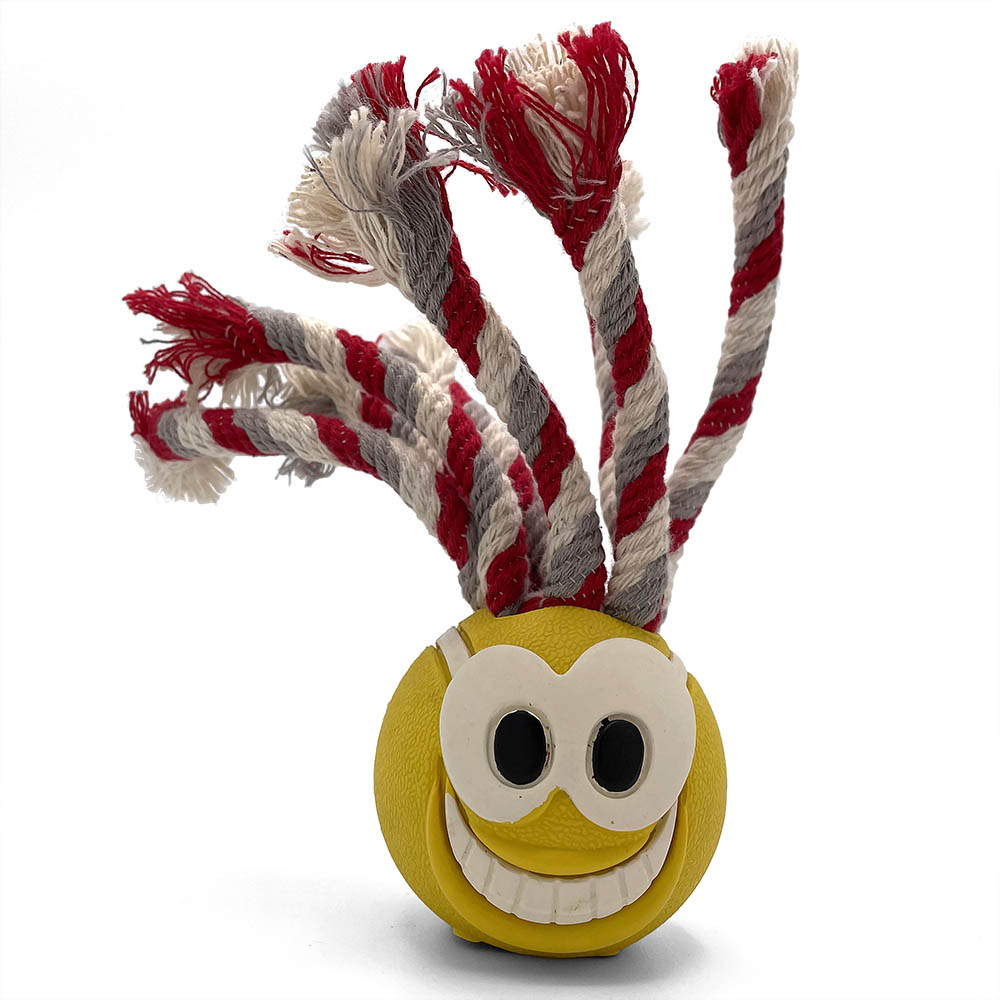 Chuckit Fanatic ball | Durable dog toy with rope hair