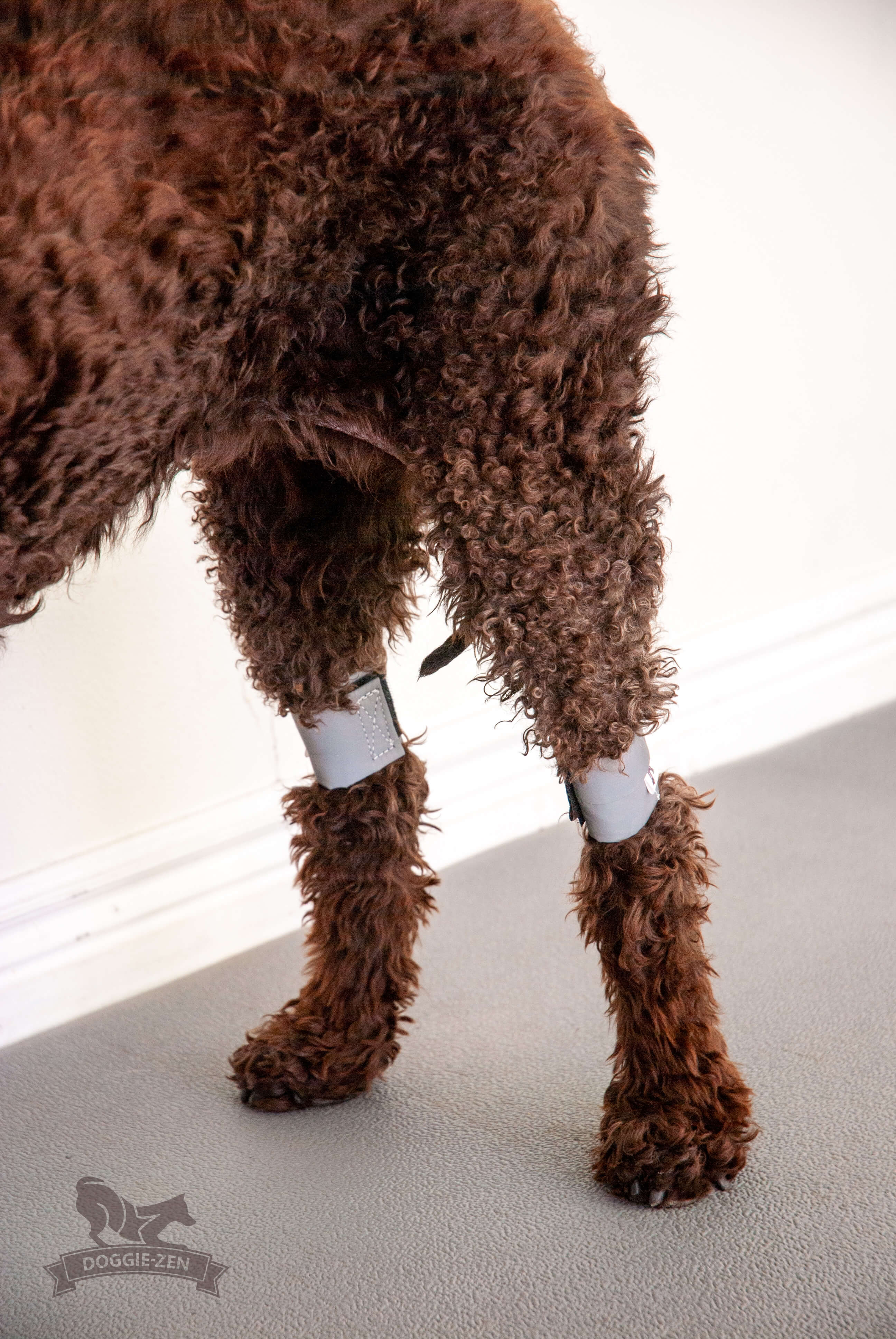 Canine Wrist/Ancle Weight Cuffs - Doggie-Zen