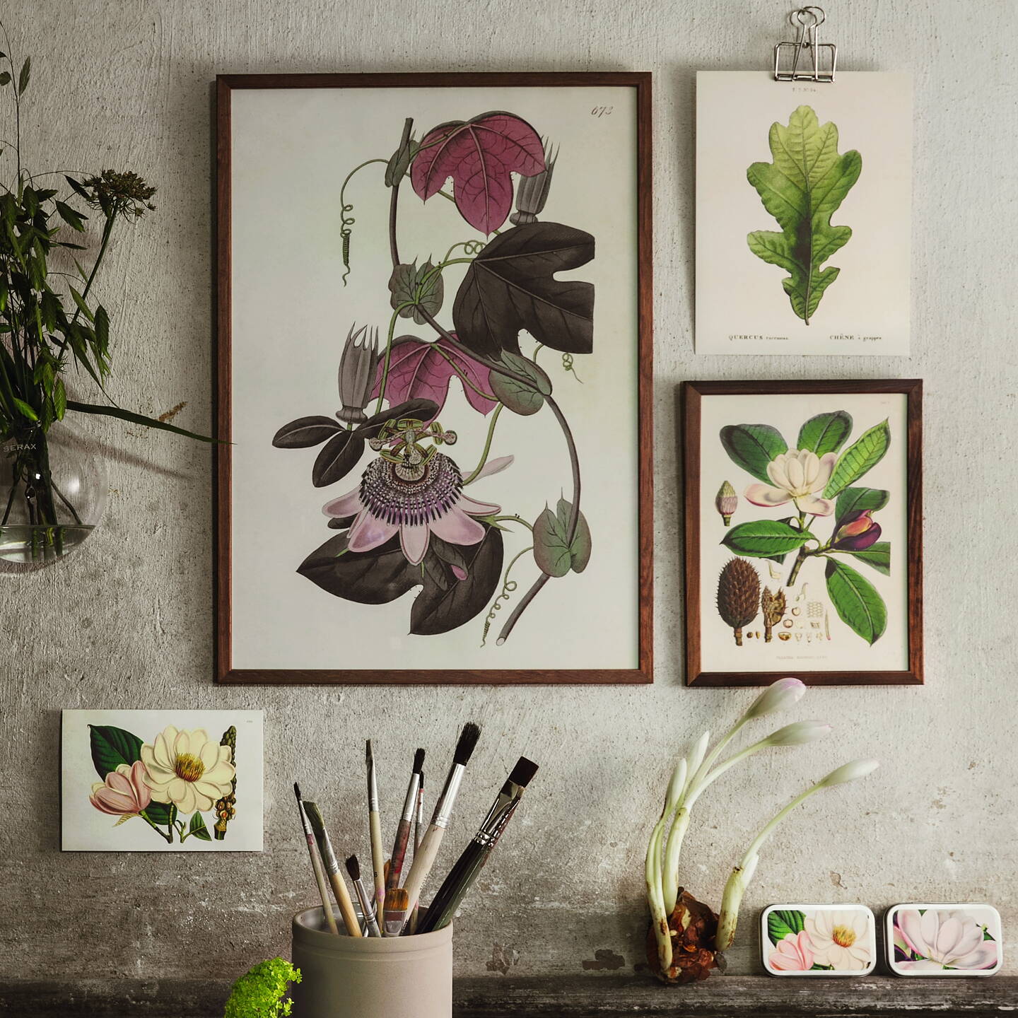 Gammaldags plansch skolplansch svenska växter Passionsblomma shabby ...