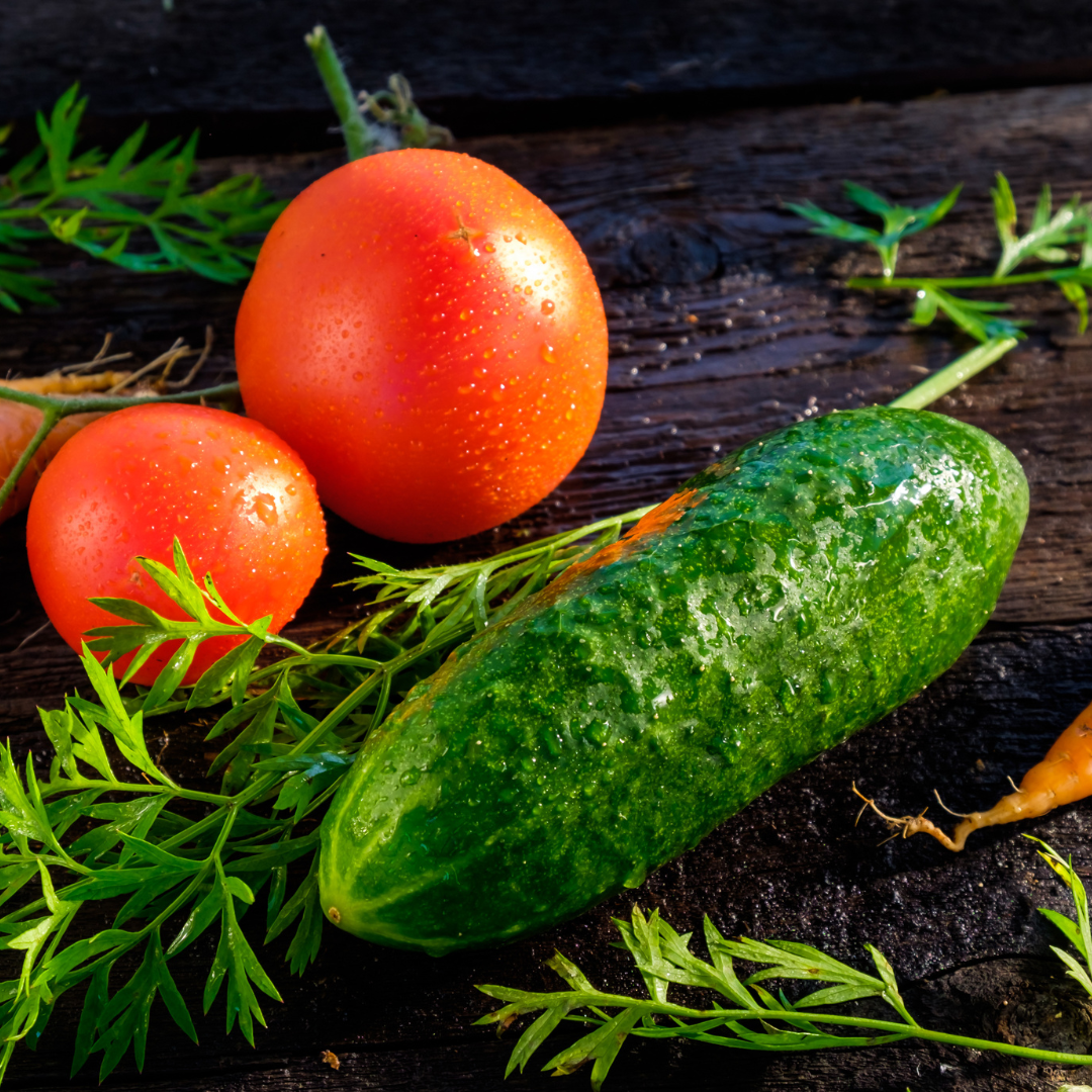 Slanggurka - Beth Alpha - Fröbanken