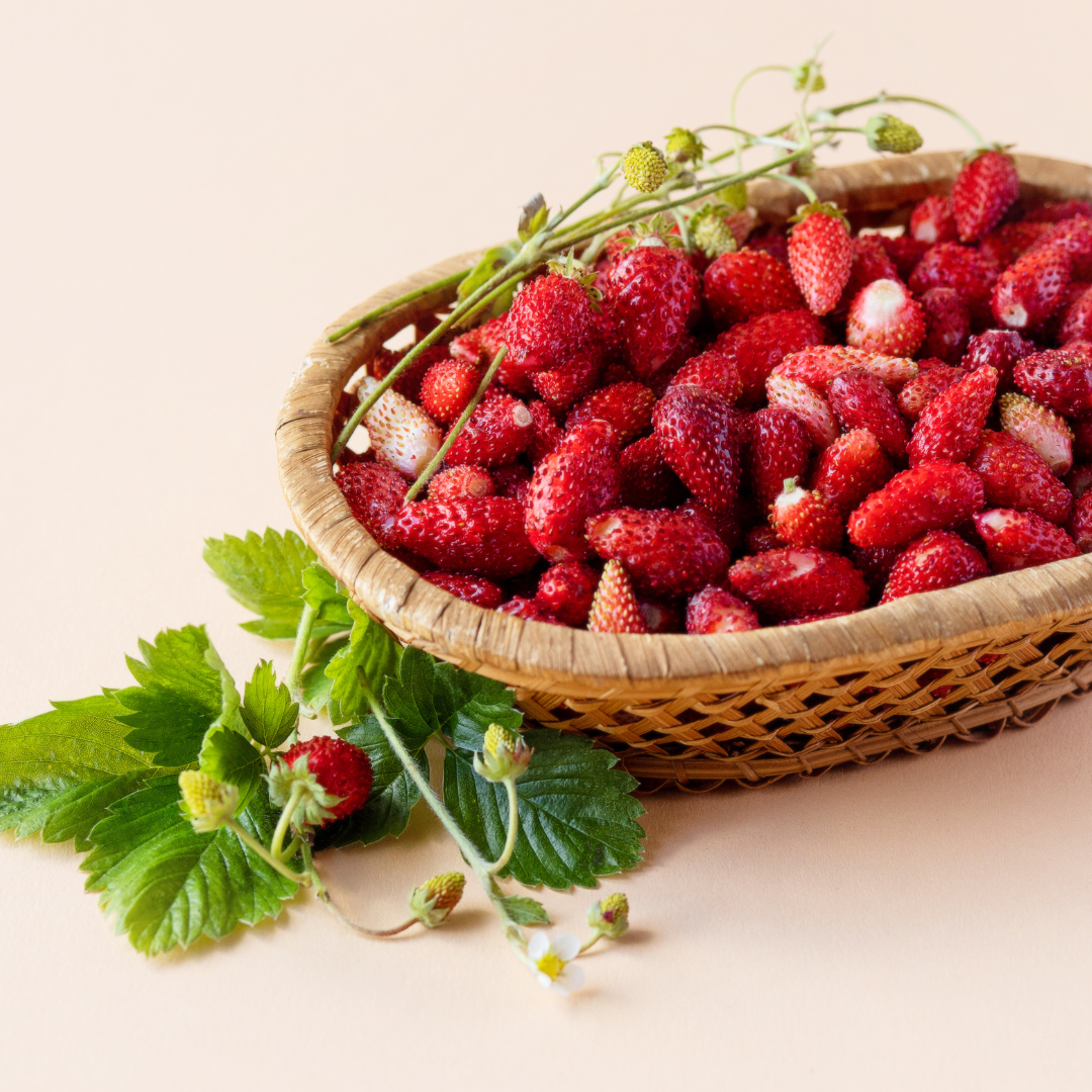 Smultron - Regina - Fröbanken