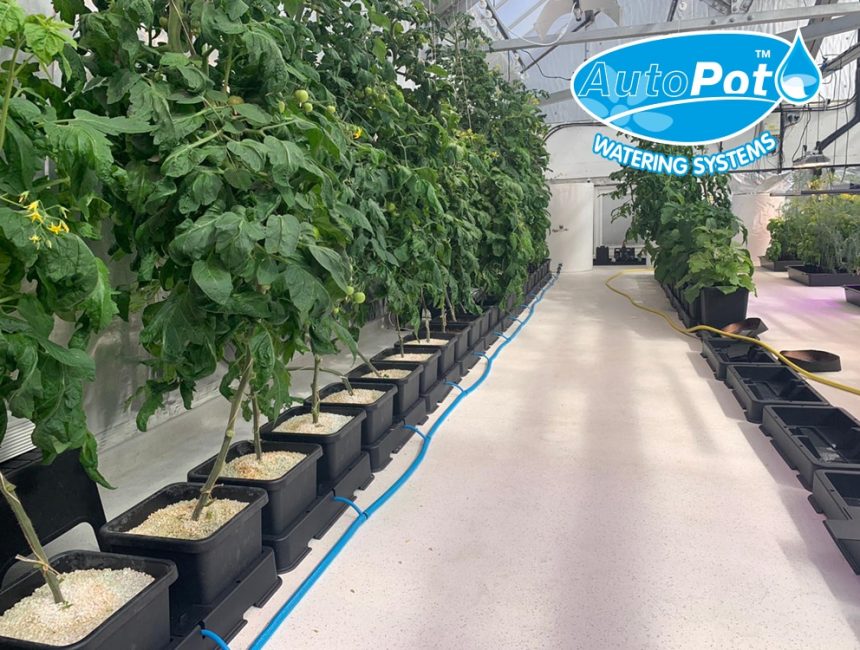 AutoPot easy2grow 40 Pot | Automatiskt bevattningssystem | Hydrogarden