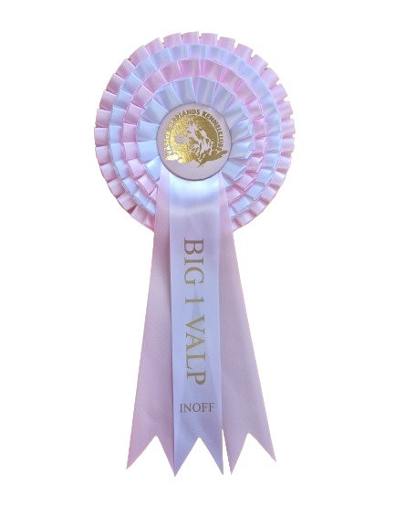 Monomak - 1014 - Rosette 4 tiers 3 tails full-bodied pleating