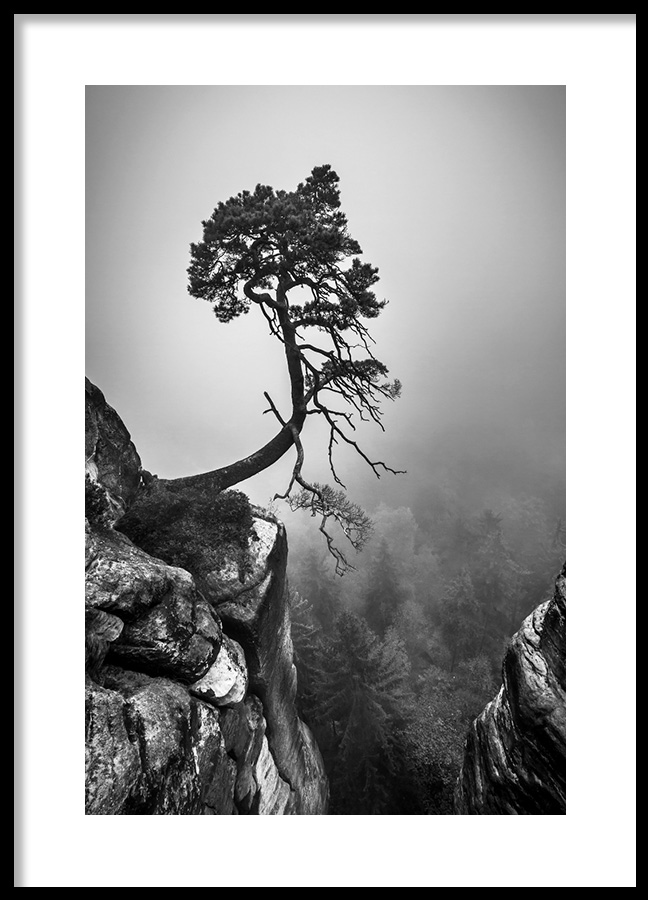 Poster - Tree of Hope - | Canvasbutik.com