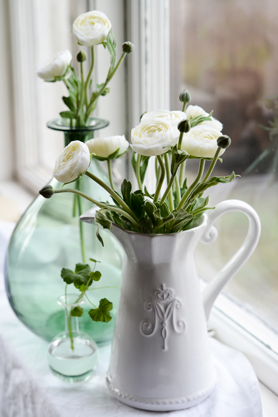 Ranunkel - VitVitareVitast