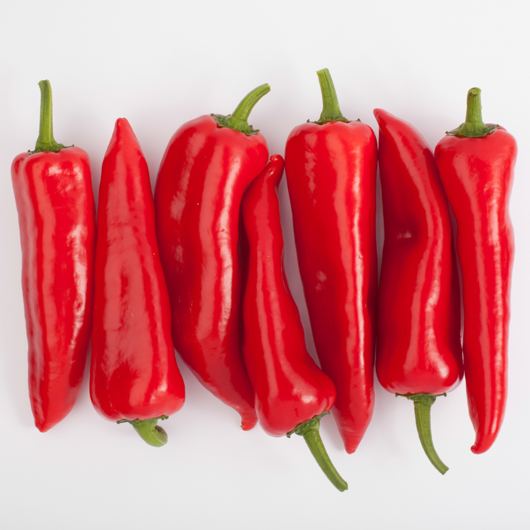 Paprika - Kapiya UV Vertus - Kultursort - Fröbanken