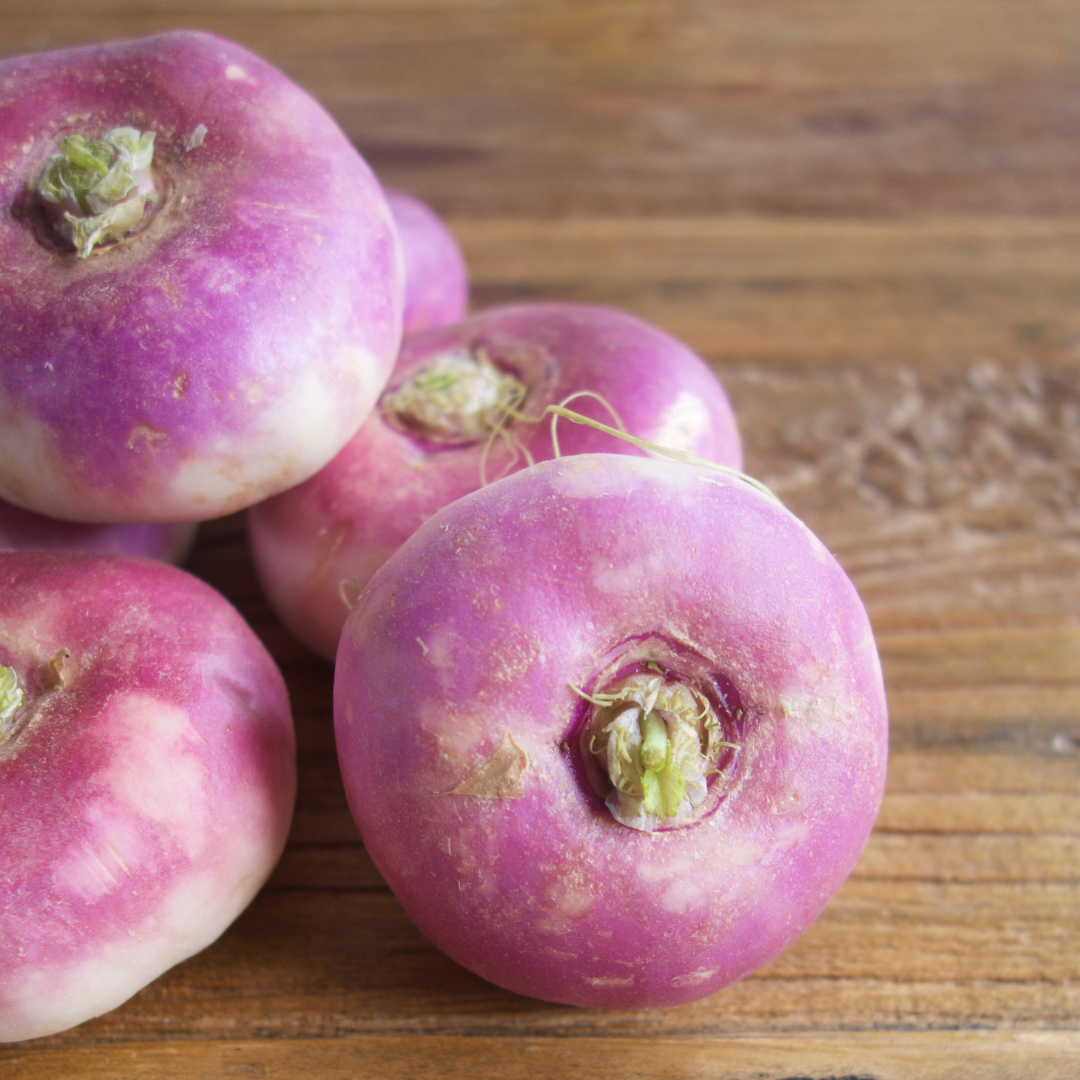 Majrova - Purple Top Milan - Kultursort - Fröbanken