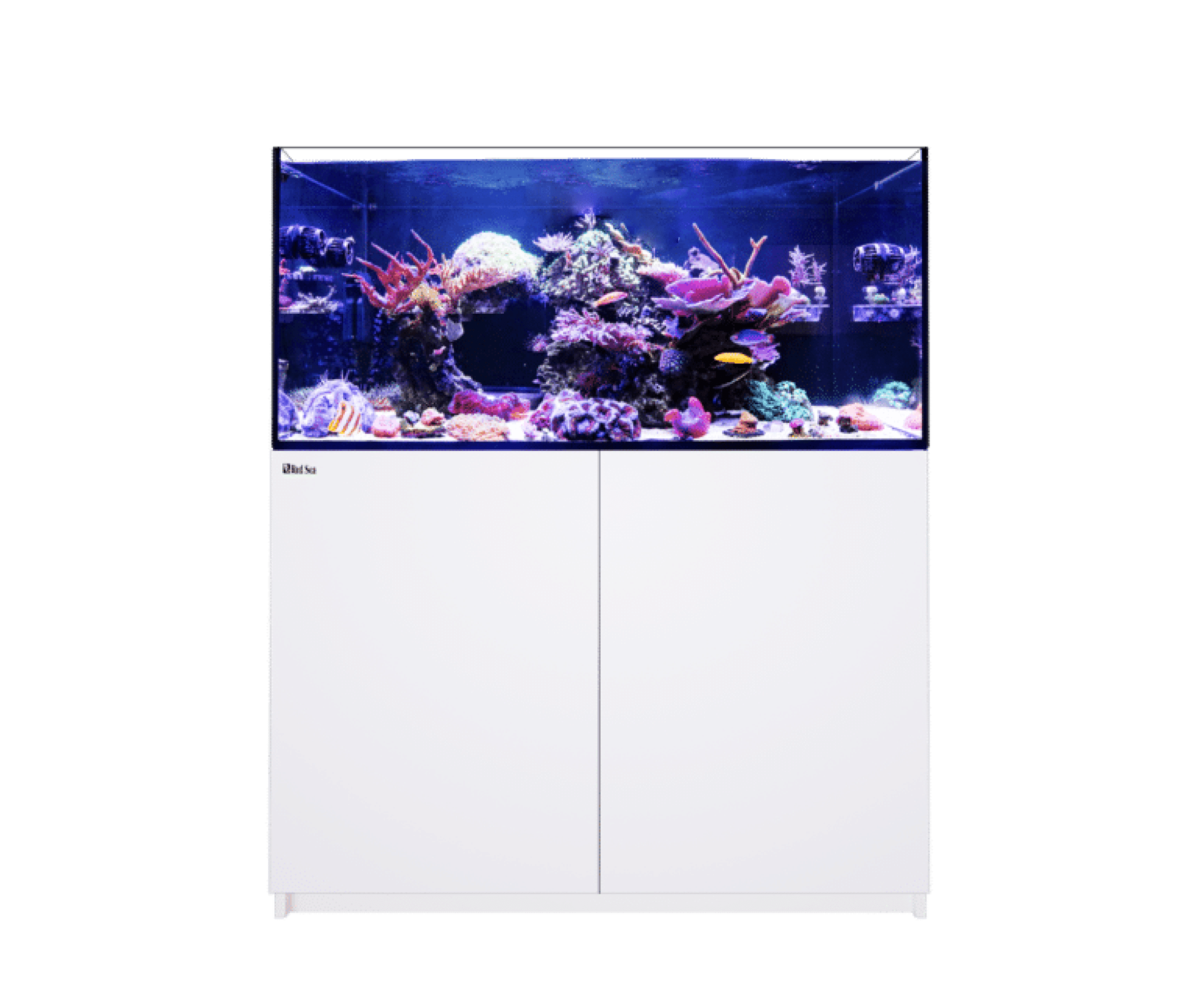 Red sea Reefer G2+ Large akvarium - Oceans of Life