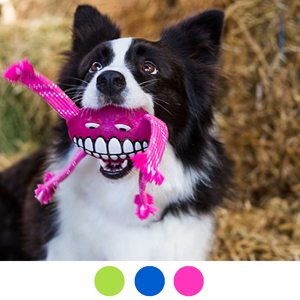 Rogz Flossy grinz | Dog toy of rubber that squeaks