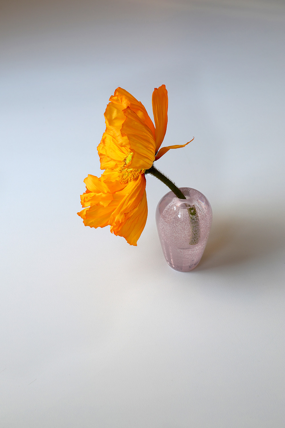 Munblåst vas Liv rosa - Mimou