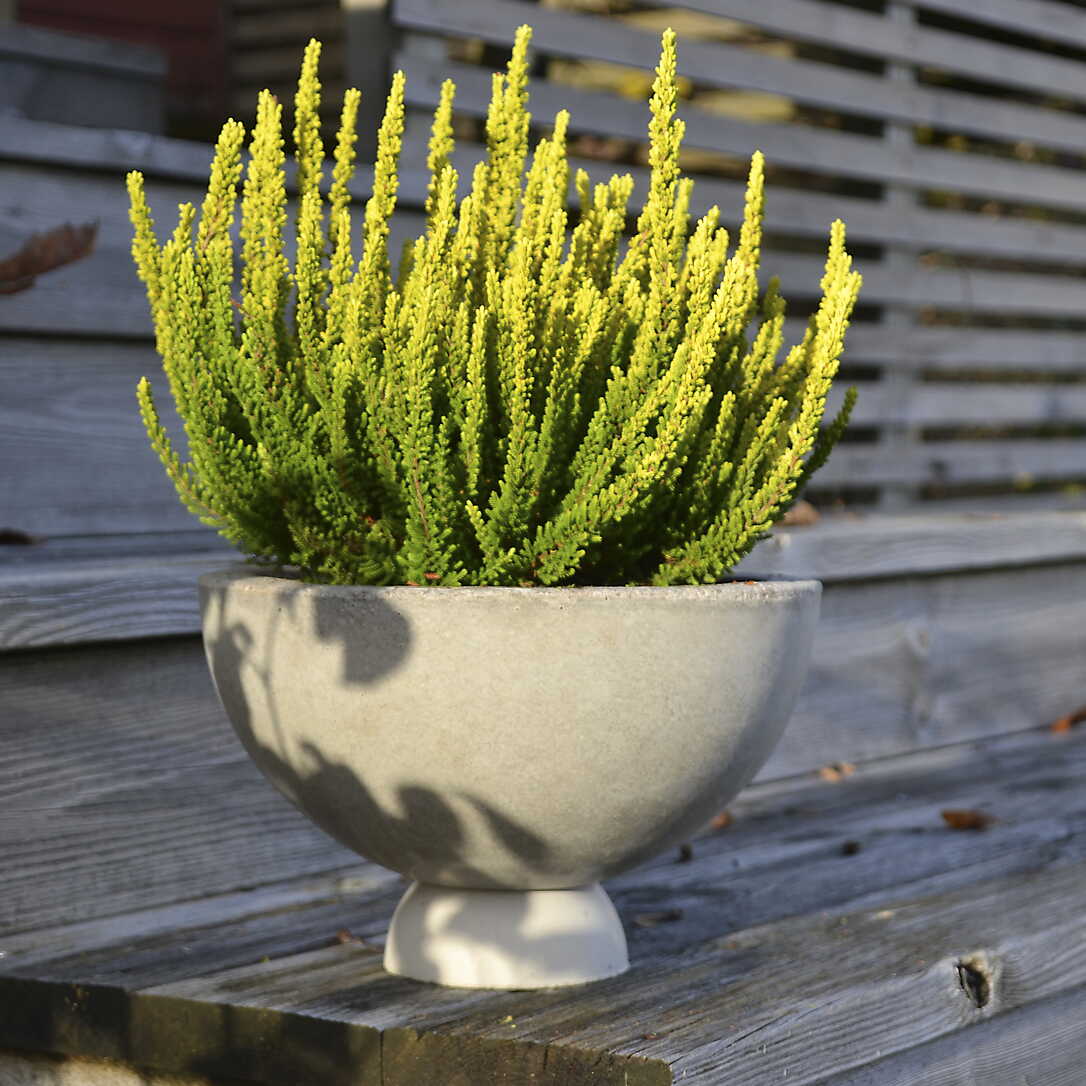 Gjut i betong med gjutformar och få trädgårdsinspiration – Former.