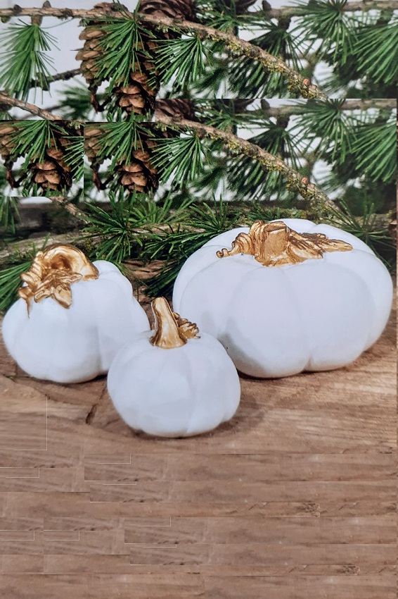 Pumpa Vit/Guld - 3-pack - VitVitareVitast