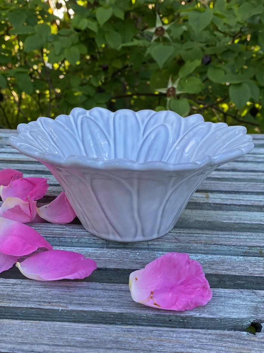 Vita Ranunkler - Skål - Tusensköna