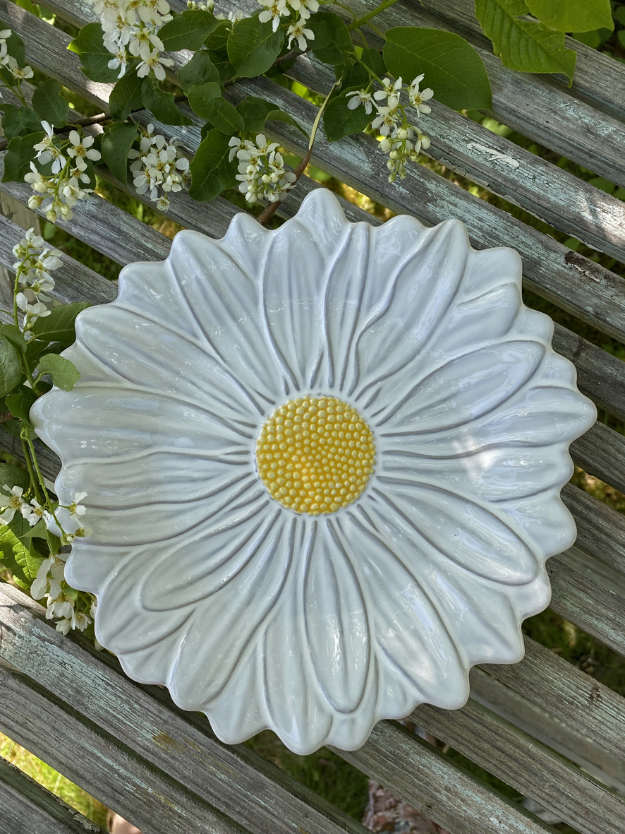 Vita Ranunkler - Assiett - Tusensköna