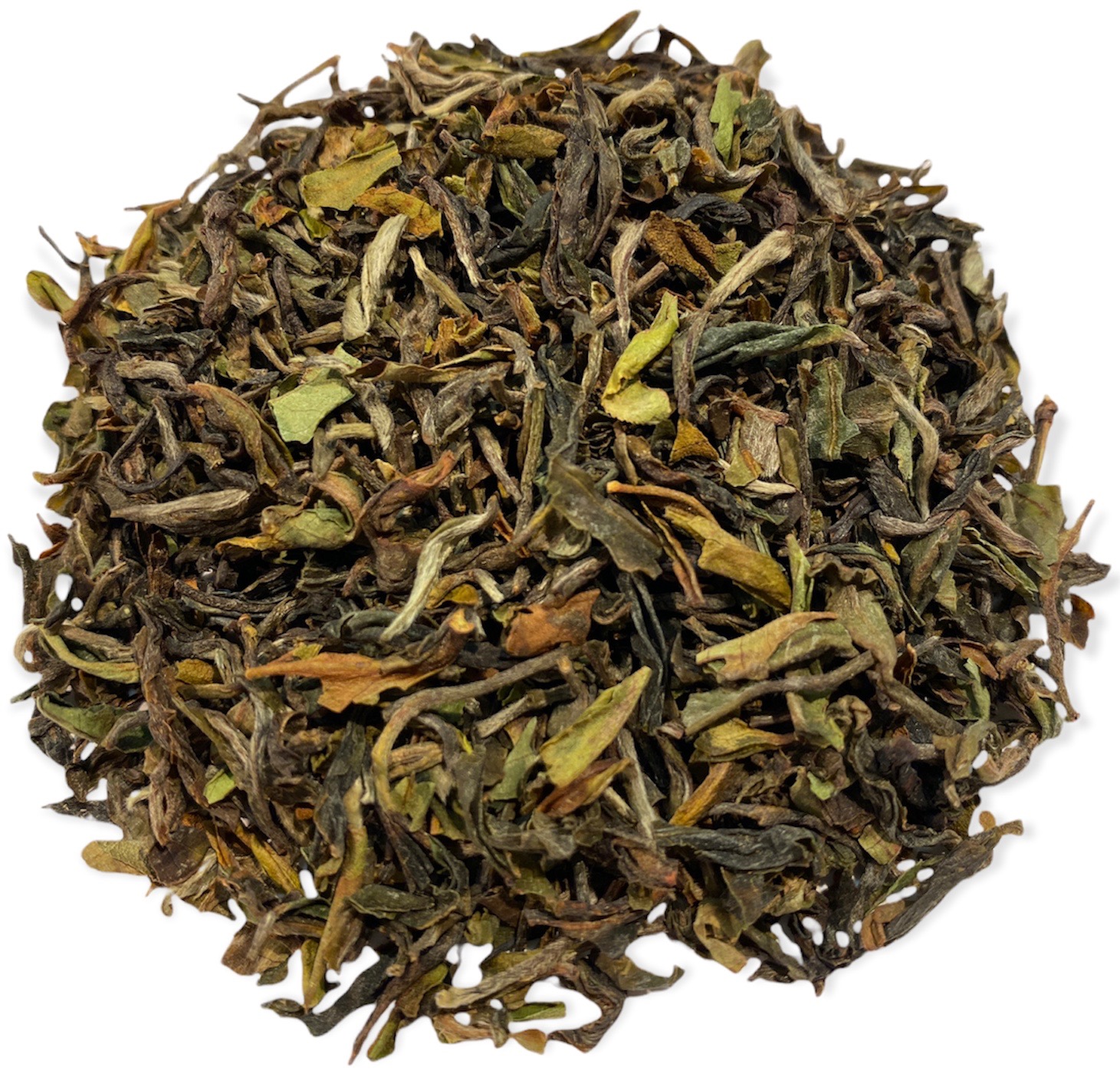 Darjeeling First Flush - TeBoden Charabang