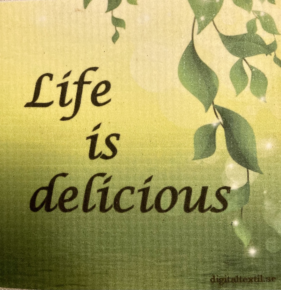 Disktrasa Life Is Delicious - Webboden