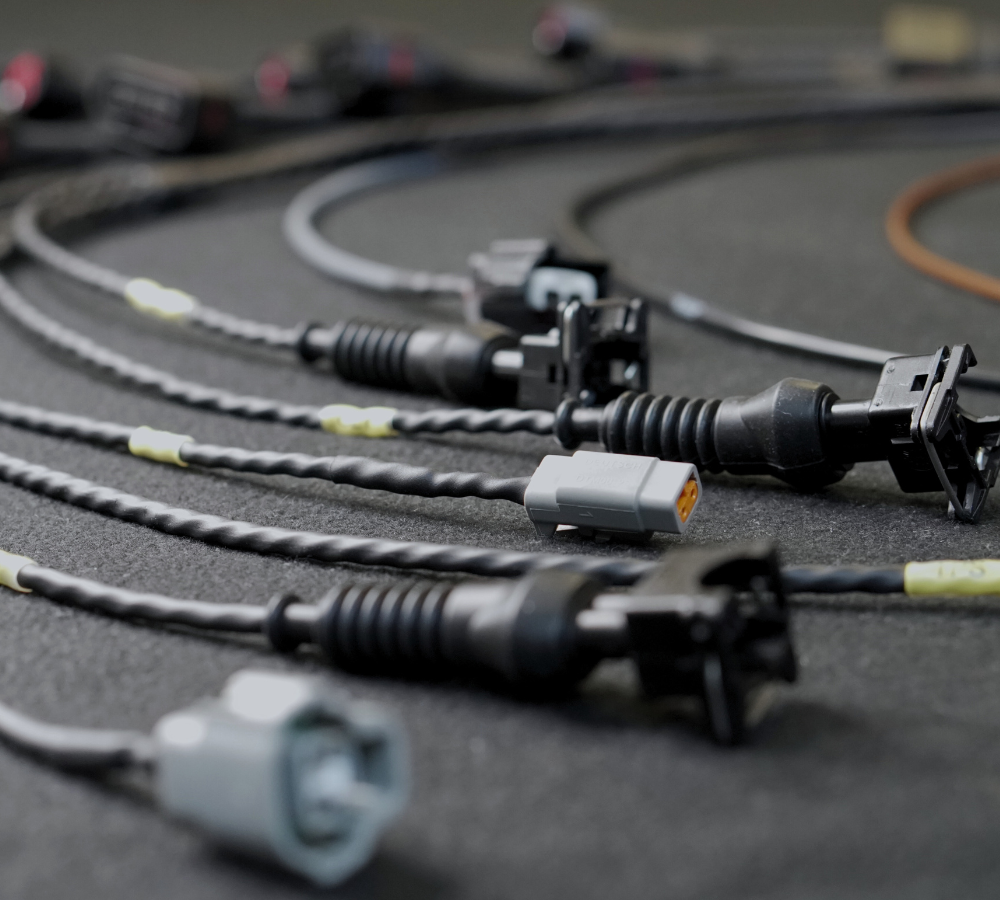 4-8 cyl Custom MaxxECU cable harness - EMS Webshop
