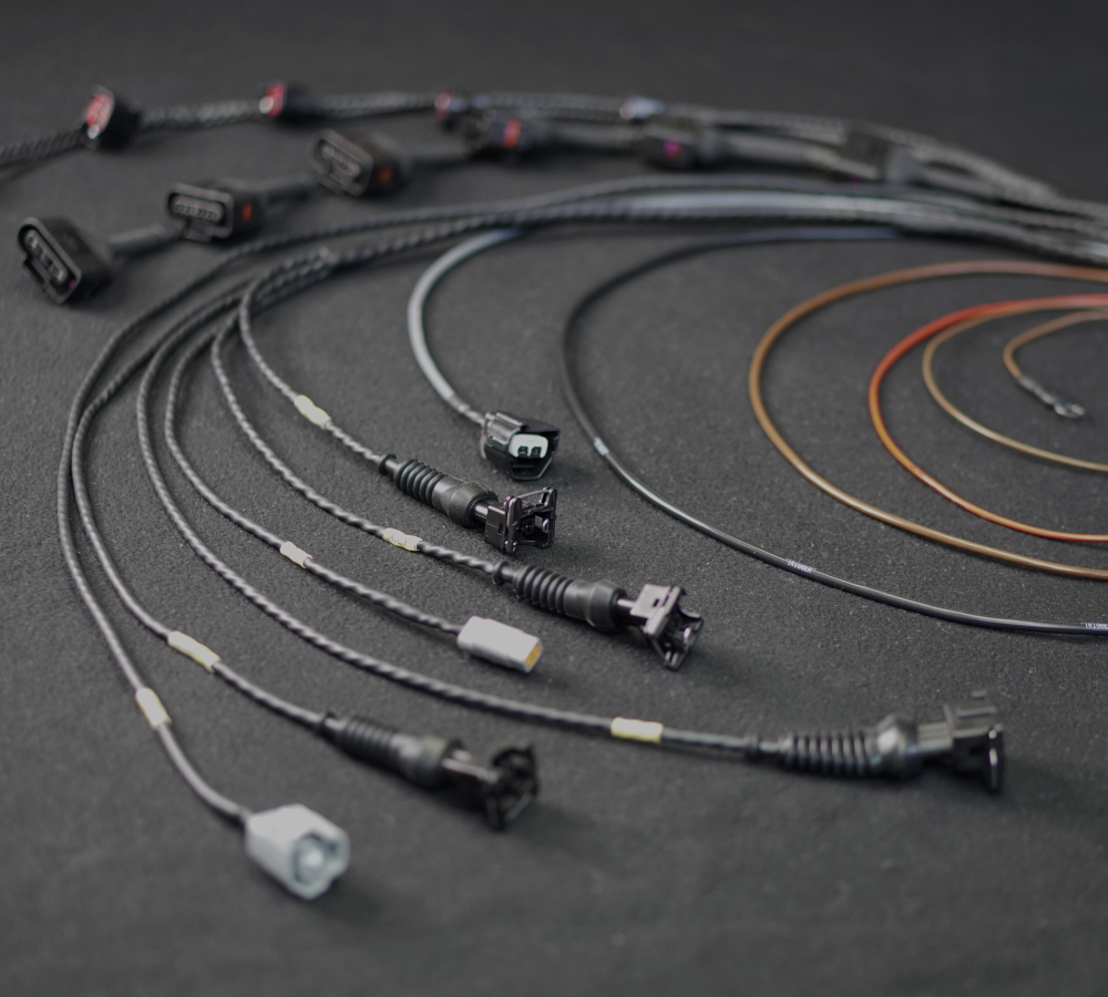 4-8 cyl Custom MaxxECU cable harness - EMS Webshop