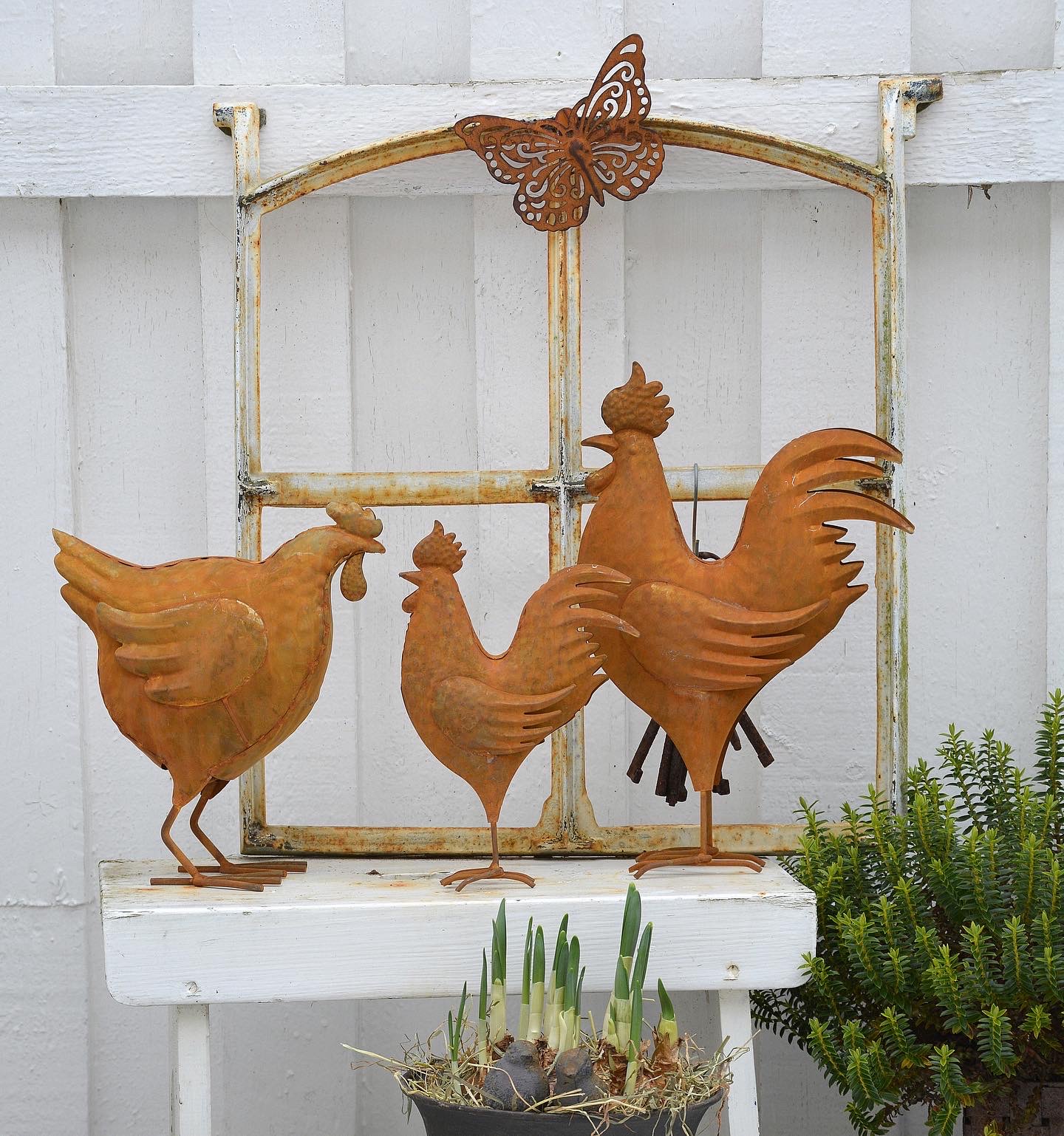 Rostig tupp stor 35 cm - Blomsterdesign i Landskrona