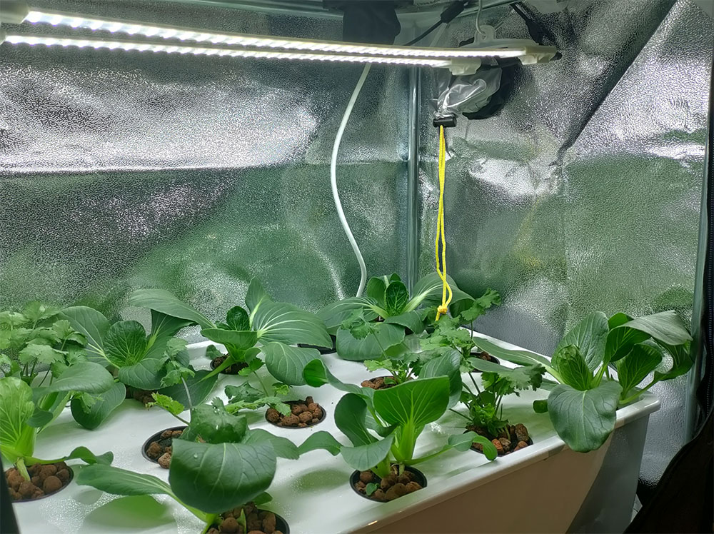 DWC (Deep Water Culture) | Komplett paket för hydroponisk för odling ...