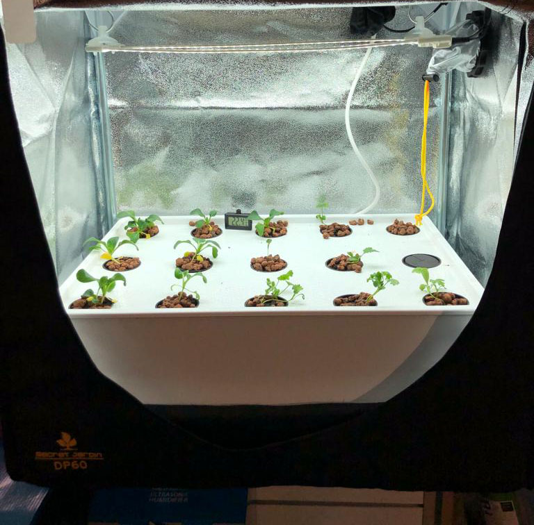 DWC (Deep Water Culture) | Komplett paket för hydroponisk för odling ...