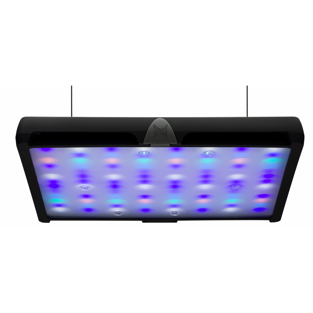 Neptunes SKY LED Light - Salt i Väst