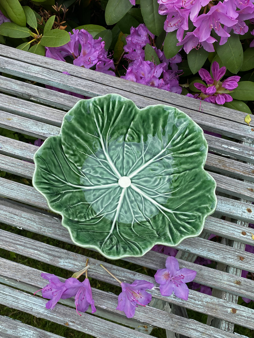 Vita Ranunkler - Skål