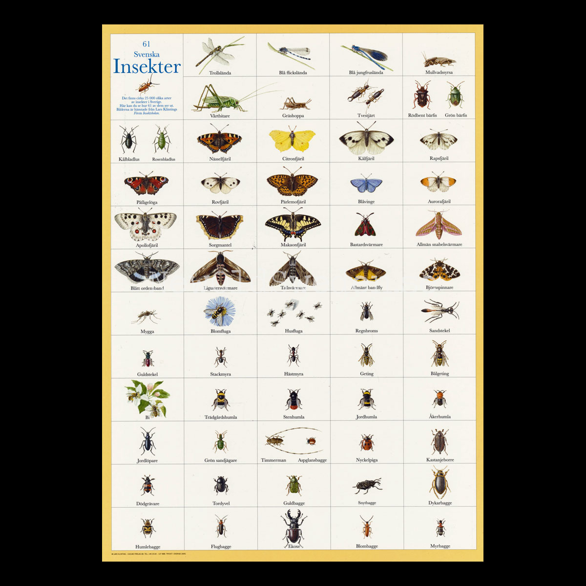 Svenska Insekter - 61 stycken - Vykort A4 - Lars Klinting - NewOld Sweden