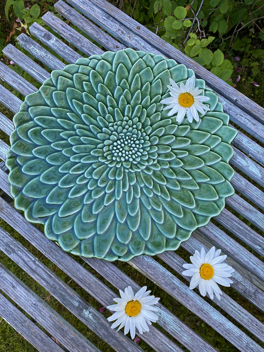 Vita Ranunkler - Fat Bloom grönt