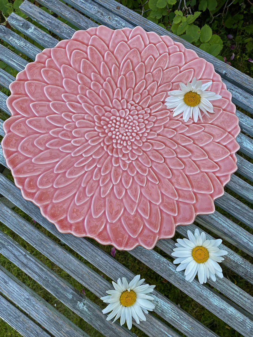 Vita Ranunkler - Fat Bloom rosa