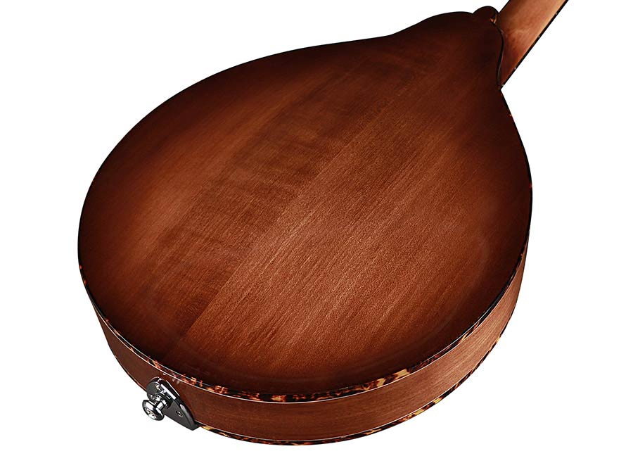 Richwood All Solid Master Series A-style mandolin with solid maple body ...