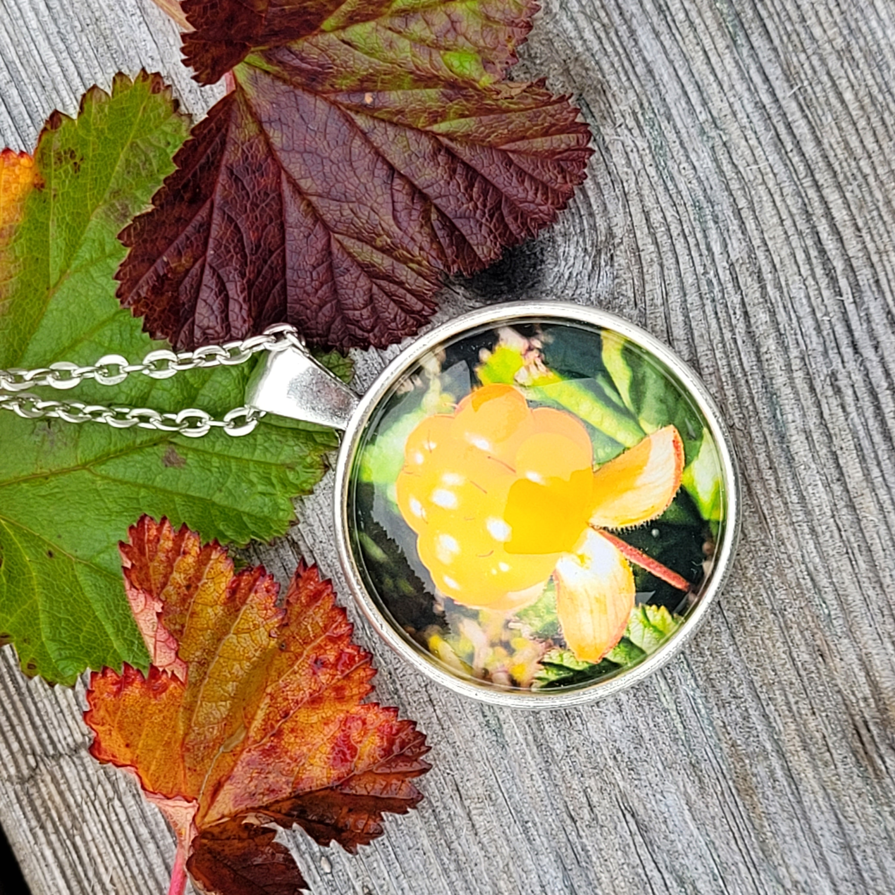 Multebær - Et lite stykke Nord-Norge