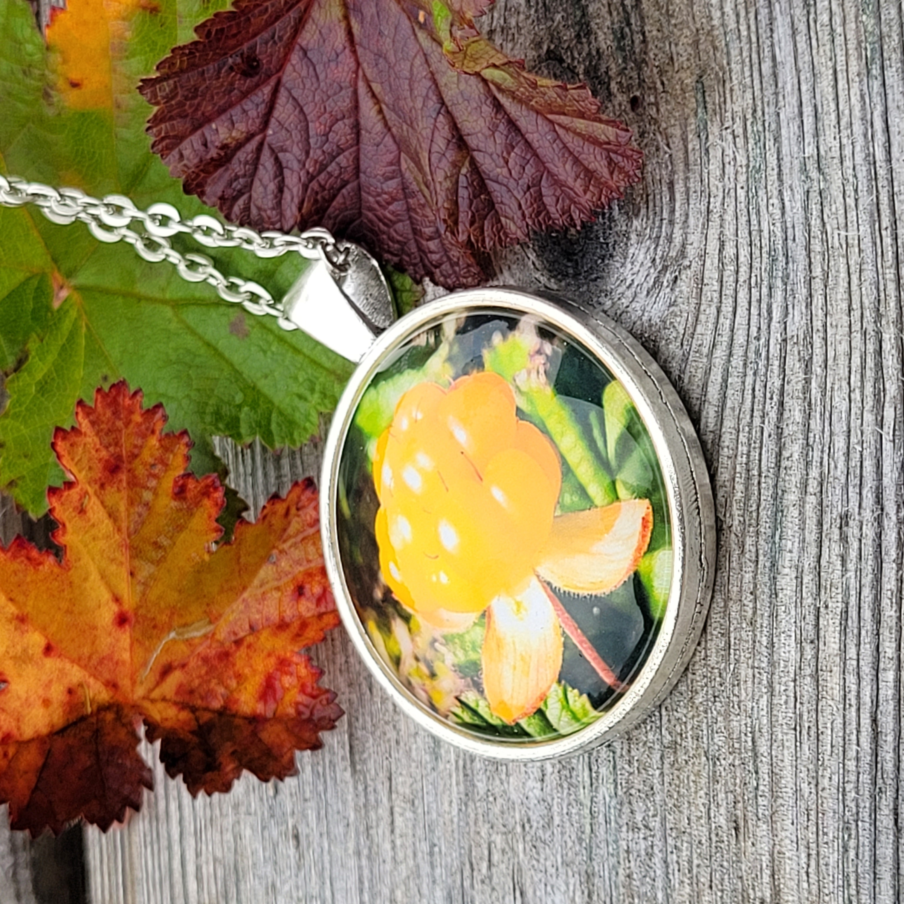 Multebær - Et lite stykke Nord-Norge