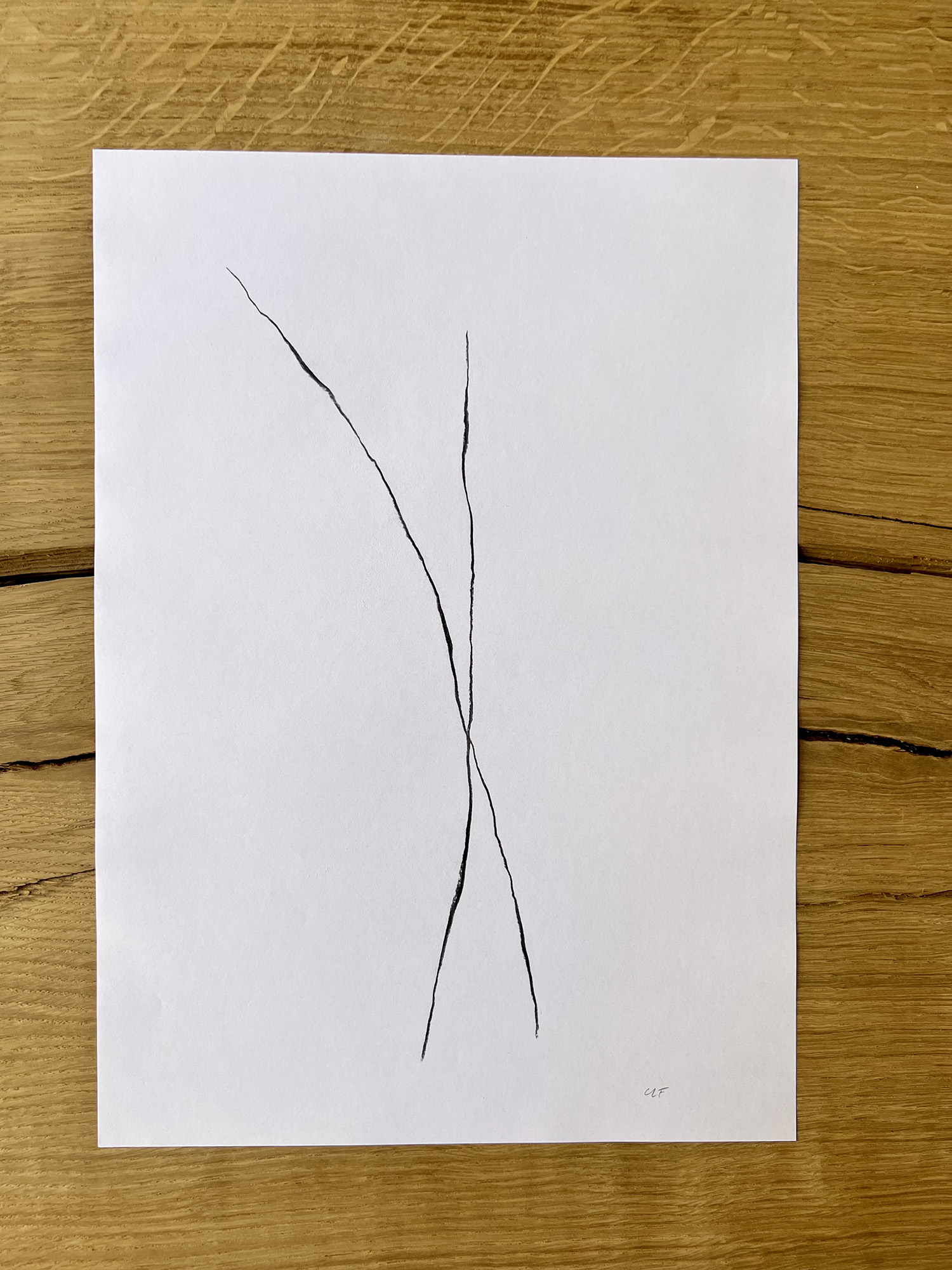 SPRICKA No30. Lugnet - DRY STUDIOS