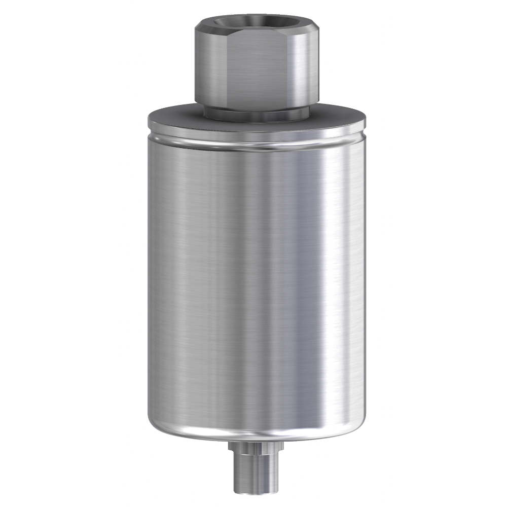 Pre-milled blank WP 14 mm for NobelReplace®