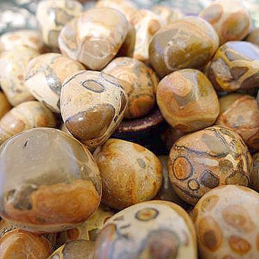 Stengarden.com - Peruansk Leopardit Jaspis, Trumlade